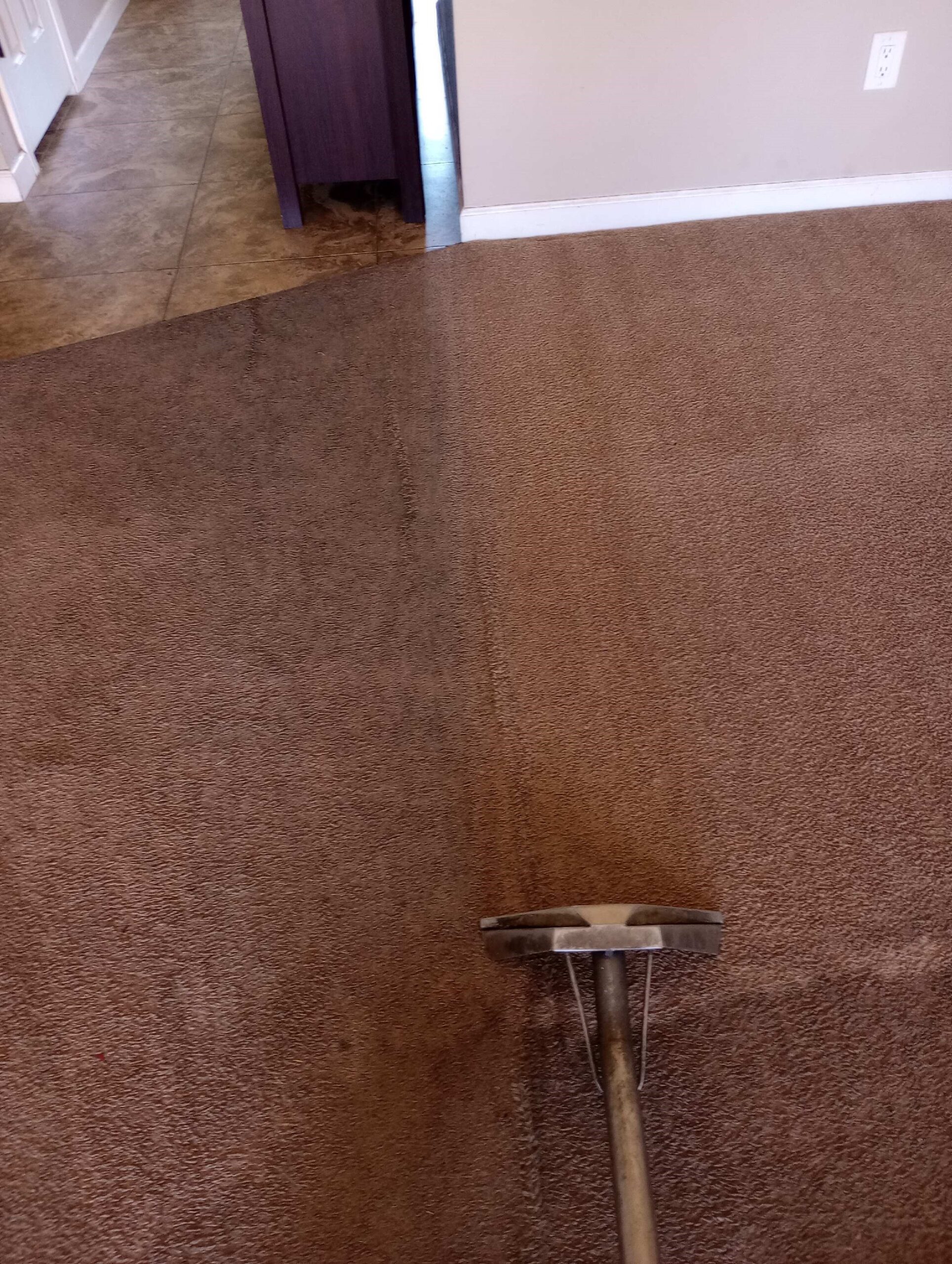 The Long-Term Benefits of Routine Carpet Cleaning - Horizon